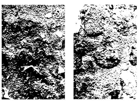 Premium Vector Grunge Urban Backgroundtexture Vector