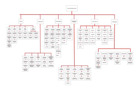 Estructura Organizacional