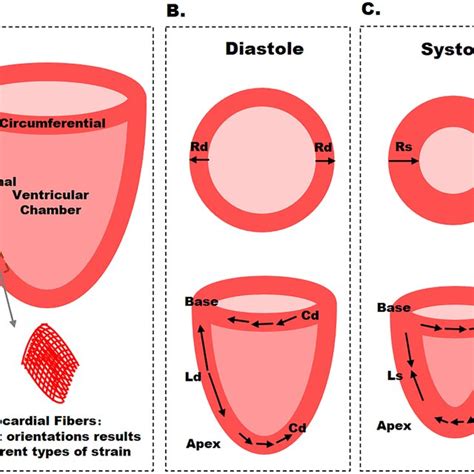 The Advent Of Methods For Cardiac Magnetic Resonance And Download Scientific Diagram
