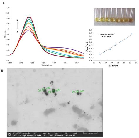 A Cd Agnps Lspr Spectra As A Function Of Met Concentration Ranged Download Scientific Diagram
