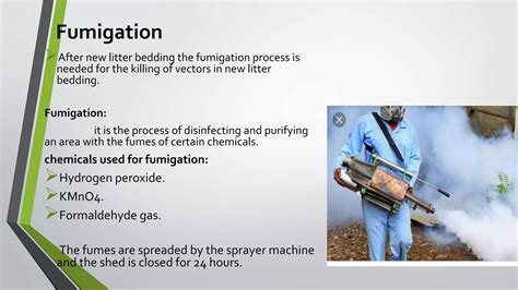 Cleaning And Disinfection In Poultry Pptx