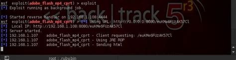hack like a pro how to exploit adobe flash with a corrupted movie file