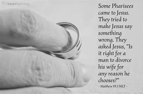 Transition And Truth Matthew 19 3 What Jesus Did