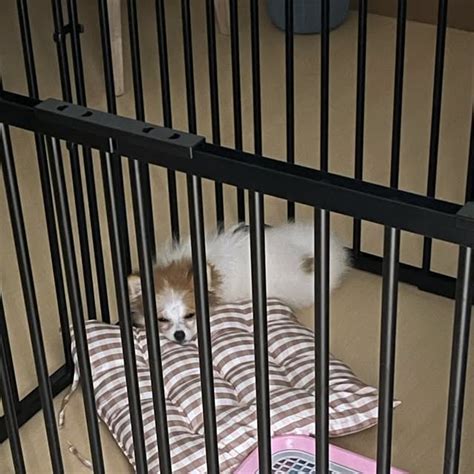 Mollyyyyy Pom • Threads Say More