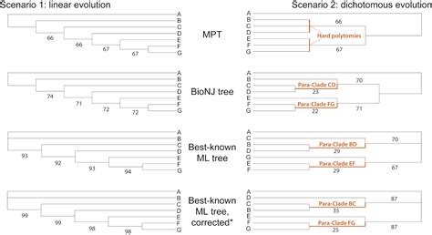 The Genealogical World Of Phylogenetic Networks Trivial Data But Not So Trivial Graphs