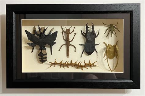 New Bug Frame Model Names And Designers In The Comments Rorigami