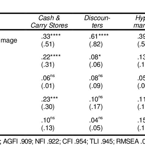Results Of The Retail Format Comparison Based On Multi Group Structural Download Table