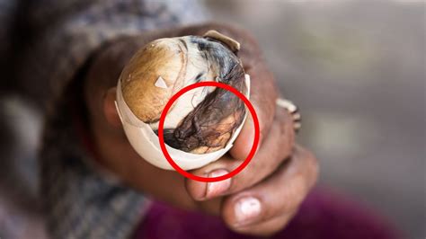Slideshow 20 Most Horrifying Foods On Earth You Can Eat