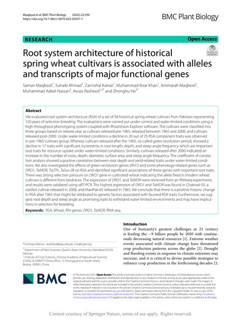 Pdf Root System Architecture Of Historical Spring Wheat Cultivars Is Associated With Alleles