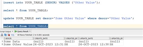 Obiee In Il Oracle With Or Without Apex Adding Insert And Update Time And User To Table