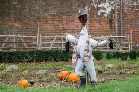 무료 이미지 허수아비 호박 벽 식물 겨울 스쿼시 쑥쑥 칼 바자 농장 과일 3933x2619 Briank 1632679 무료 이미지 Pxhere