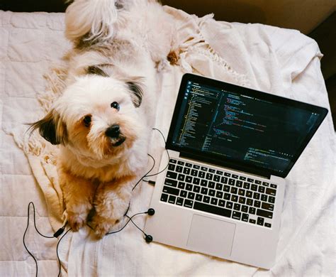 speed up your node js tests with the mocha testing framework