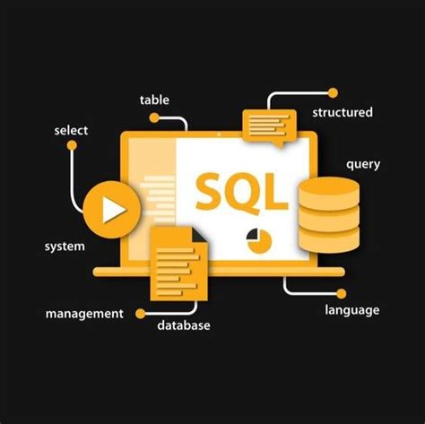 Aayushi G On Linkedin Data Dataanalysis Dataanalyst Datascience Datascientist Database