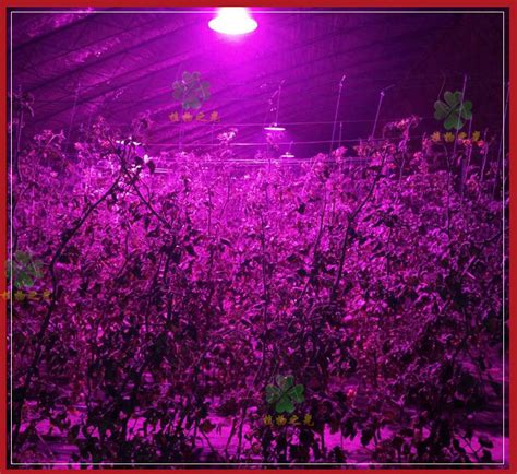 全光谱led生长灯瓜果蔬菜花卉育苗葡萄农用温室大棚植物补光灯 虎窝淘