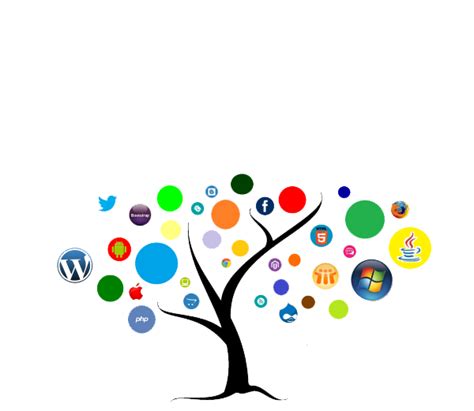 Codex Software Solution Shn Bhd