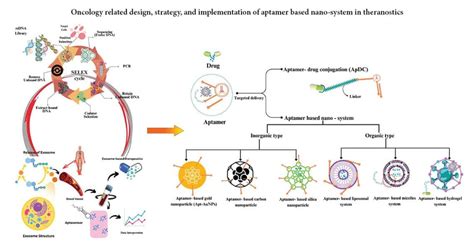 Aptamer Based Theranostics In Oncology Bio Integration