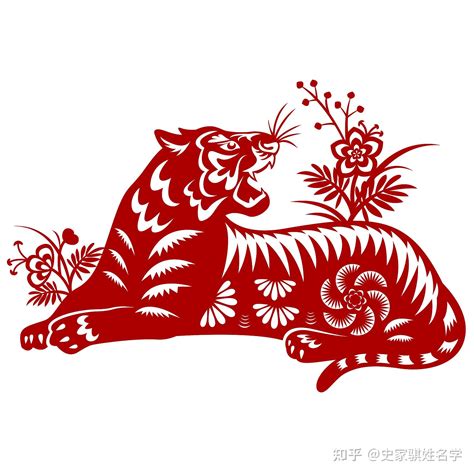 实用生肖姓名学之属虎篇 知乎