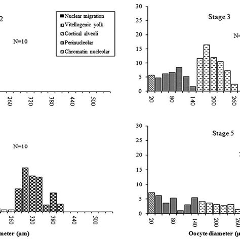 Size Frequency Distribution Of Oocyte Diameter At Stages 2 3 4 And 5 Download Scientific