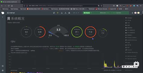 Nedata监控、cpu等可视化图表