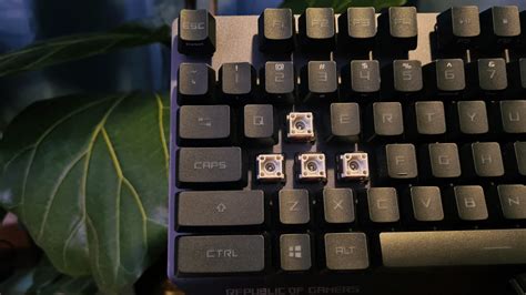 Review ASUS ROG Strix Scope RX TKL Wireless Deluxe The Nexus