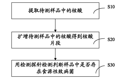 Kit And Method For Detecting Food Borne Pathogenic Bacteria Eureka Patsnap