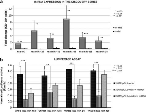 Mirna Expression Patterns In Mm And Target Genes Validation A Download Scientific Diagram