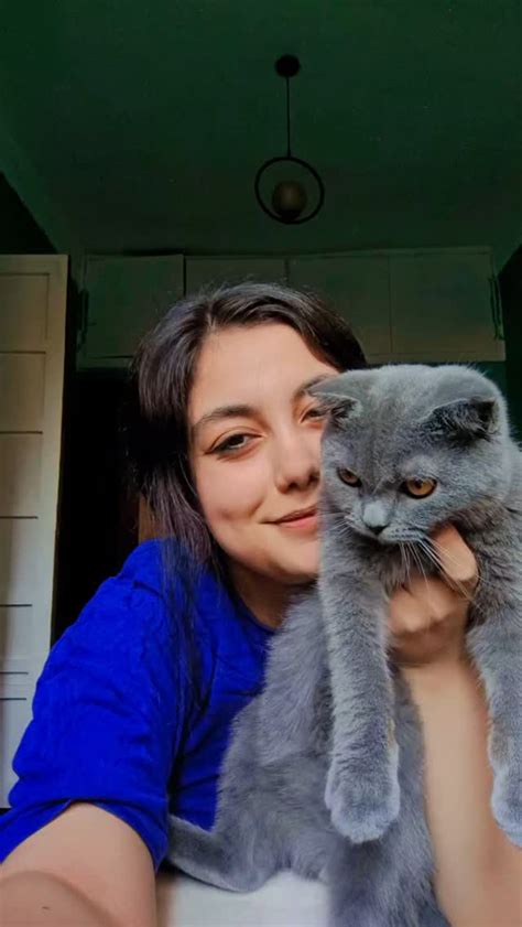 ‎mioo House میو هاوس پانسیون نگه‌داری گربه‎ Mioohouse • Instagram