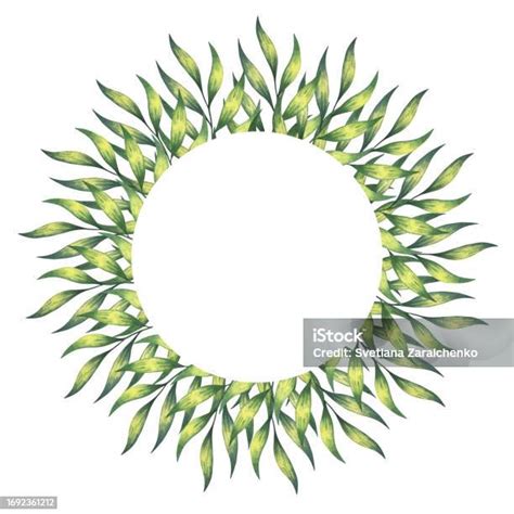 흰색 바탕에 나뭇잎의 수채화 화환 손으로 그린 그림입니다 포스터 템플릿 초대장 명함 엽서 및 배경을 위한 원형 프레임 0명에 대한 스톡 벡터 아트 및 기타 이미지 Istock