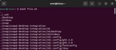 Using Find Command In Bash Script Linux Genie