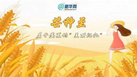 今日芒种 在繁忙的时节愿你收获喜悦与美好 安苗