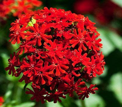 亚洲AV不卡一区二区三区 国产AV一区二区三区无码 日韩精品一区二区三区中文