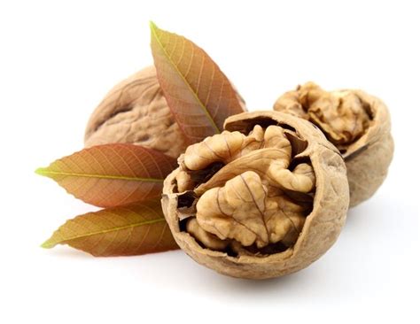 Premium Photo Walnu Twith Leaf Isolated On White Background