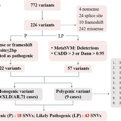 Overview Of The Filtering Process Of Potential Causative Variants For Download Scientific