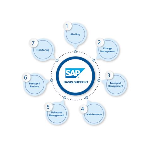 Sap Basis Support Ajaava Technologies