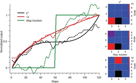 several nonlinear transformations were synthesized from the network of