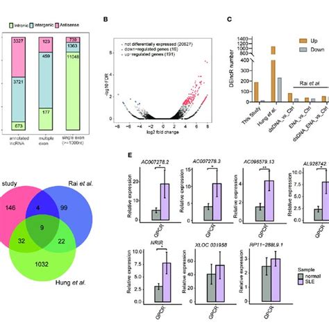 The Global And Altered Long Non Coding Rna Lncrna Expression