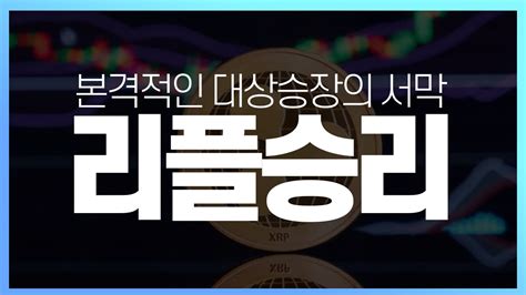 리또속 기나긴 억까로부터 탈출하다 리플이 불러올 상승장 이 영상 하나로 대비하세요 Youtube