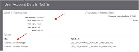 How To Enable User Proxy Impersonation Within Oracle Cloud Erp Sqlguruai