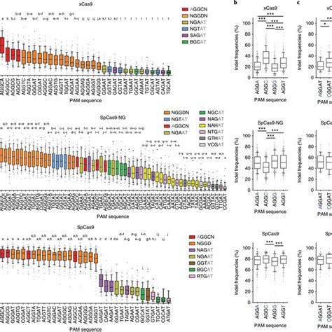 Pam Sequence Determination For Xcas9 Spcas9 Ng And Spcas9 Using A Download Scientific Diagram