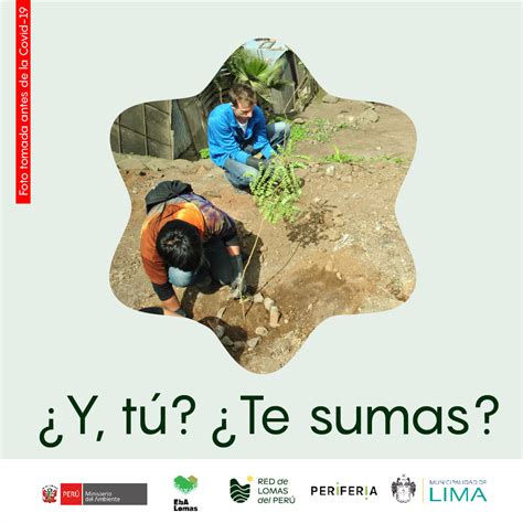 En El 2002 Se Contaba Con 3477 Red De Lomas Del Perú