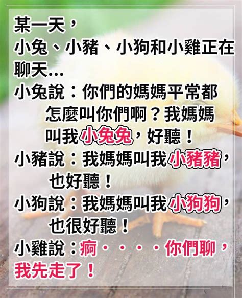 超級爆笑笑話大全，哈哈 Peekme