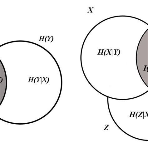 Left Mutual Information Between Two Variables X Y As Shared