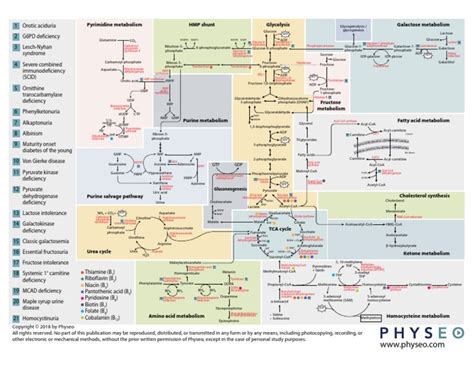 6 Biochemistry Map Natural Products Biochemistry