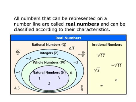 Classification Of Numbers And Variables And Expression