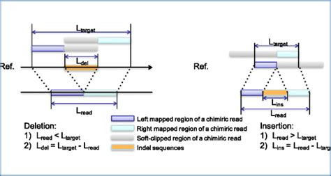 Transindel Indel Detection From Dna And Rna Sequencing Data Rna Seq