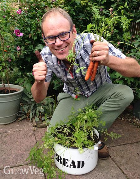 Carrot Growing Masterclass Perfect Carrots Every Time