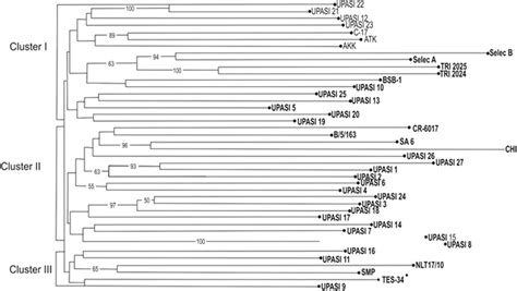 Dendrogram Representing Genetic Relationship Among Tea Accessions Using Download Scientific