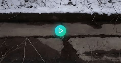 Infinite Loop  On Imgur