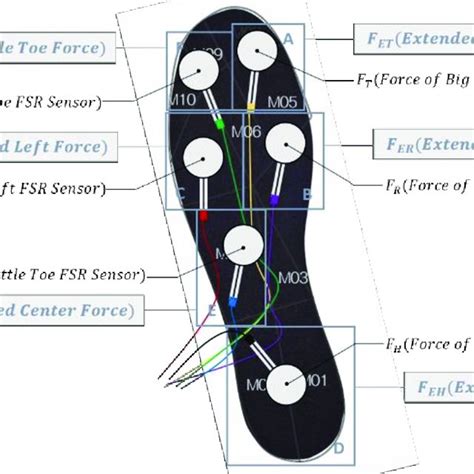 flow chart of the ann algorithm for estimating the grf and calibrating