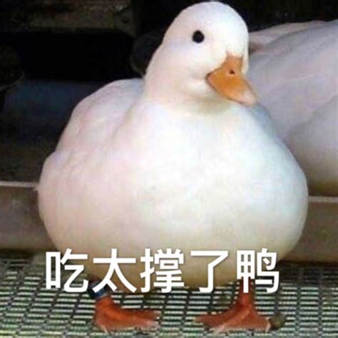 什么是沉没成本如何摆脱被沉没成本绑架 知乎